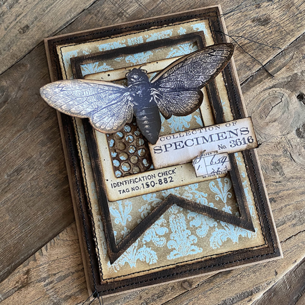 Specimen – iGirlZoe, Crafter & Tim Holtz Addict