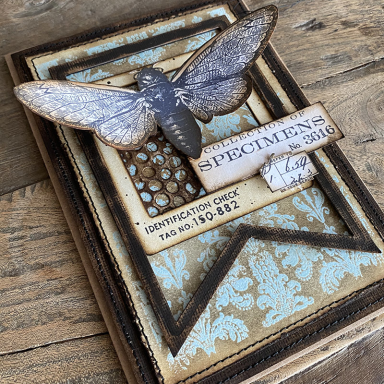 Specimen – iGirlZoe, Crafter & Tim Holtz Addict